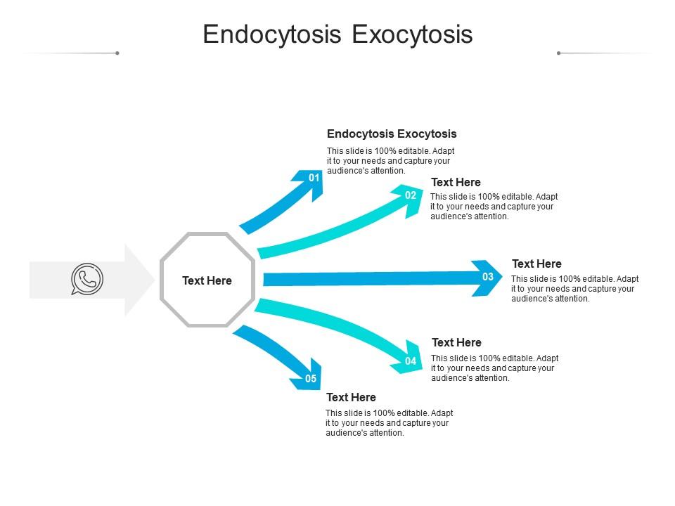 Endocytosis Exocytosis Ppt Powerpoint Presentation Gallery Example ...