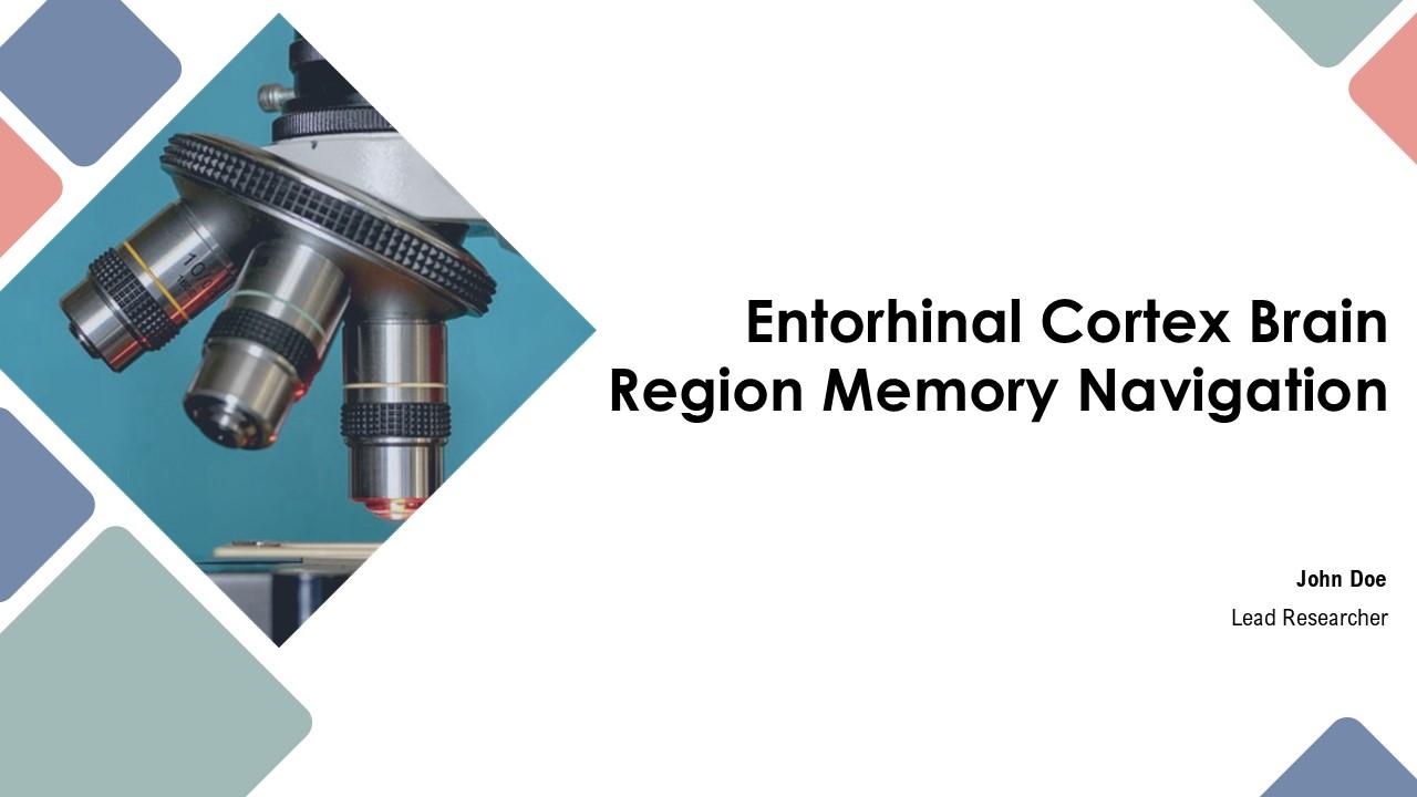 Entorhinal Cortex Brain Region Memory Navigation Ppt Example St Ai Ppt
