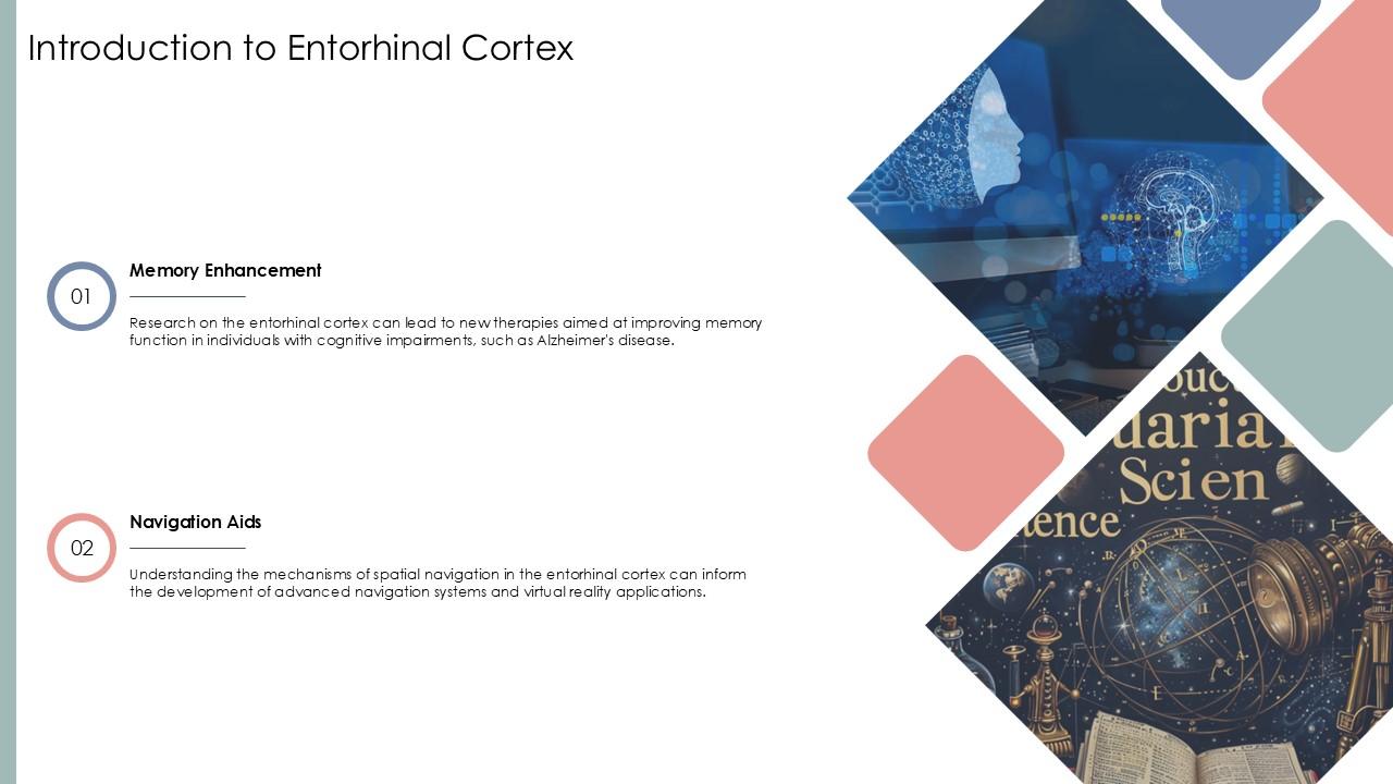 Entorhinal Cortex Brain Region Memory Navigation Ppt Example St Ai Ppt
