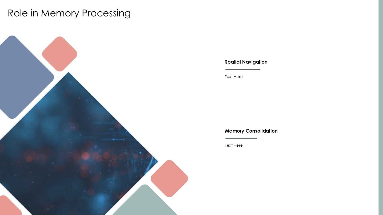Entorhinal Cortex Brain Region Memory Navigation Ppt Example St Ai Ppt