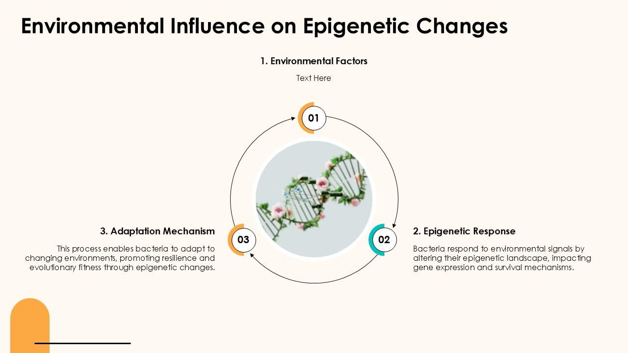 Environmental Influence On Epigenetic Changes PPT Presentation ACP PPT ...