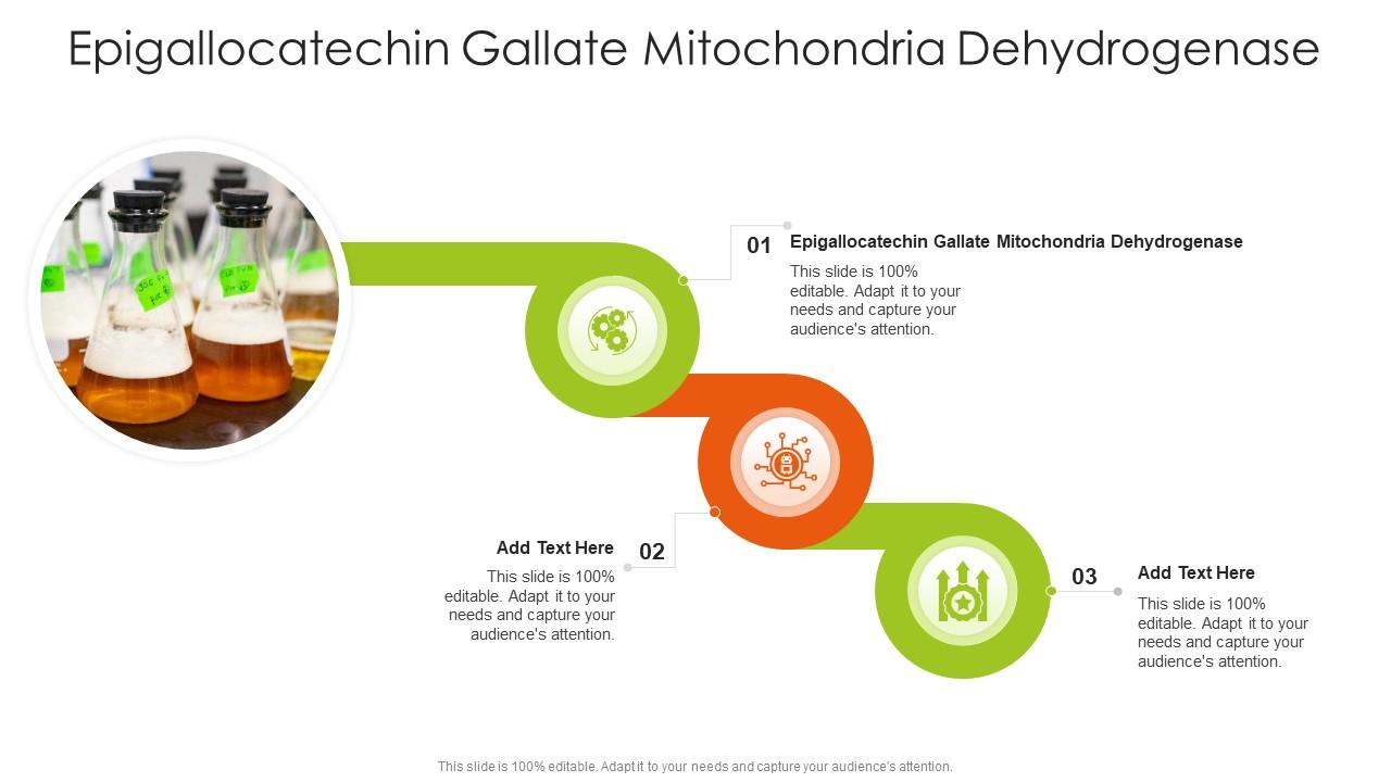 Epigallocatechin Gallate Mitochondria Dehydrogenase In Powerpoint And ...