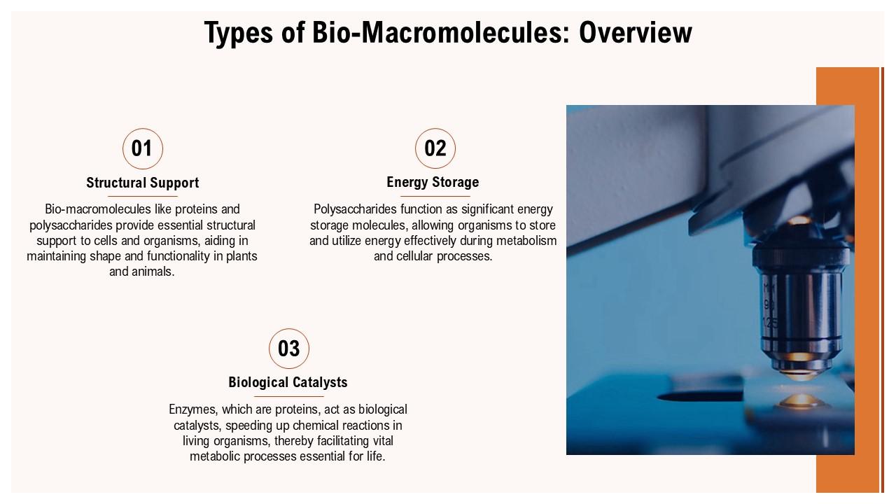 Top 10 Macromolecules PowerPoint Presentation Templates in 2026