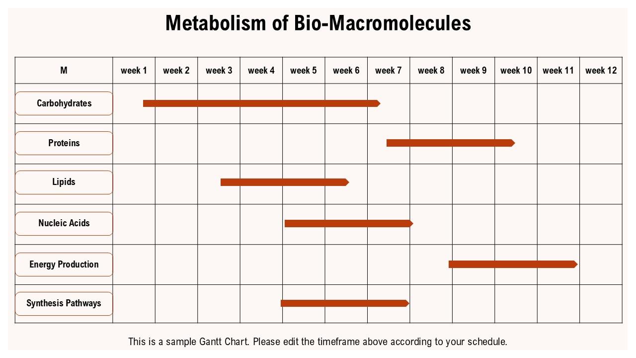Top 10 Macromolecules PowerPoint Presentation Templates in 2026