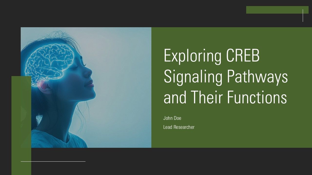 Exploring CREB Signaling Pathways And Their Functions PPT Template ST AI