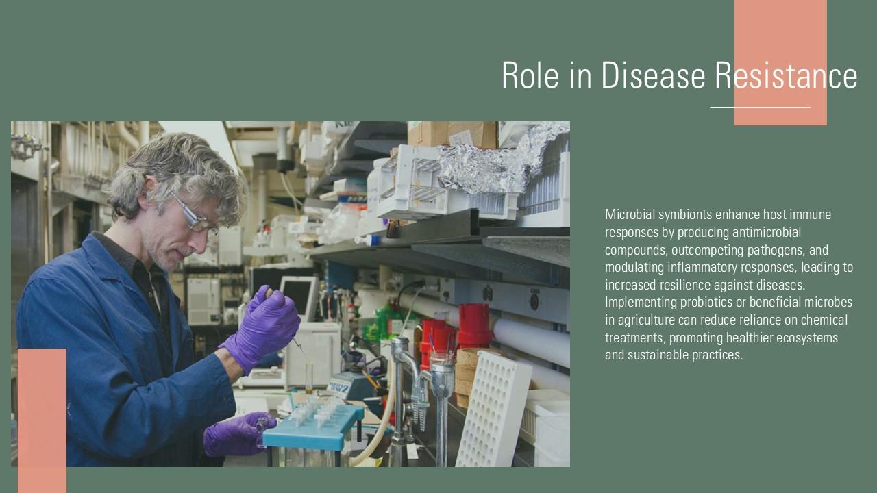 Exploring Microbial Symbiosis Benefits Relationships And Ecosystem ...