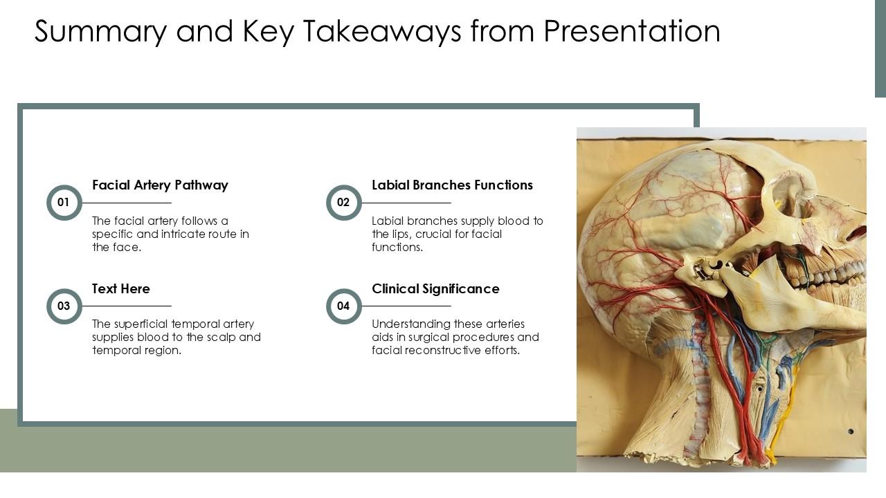Facial Artery Anatomy Labial Superficial Temporal PPT Graphics ACP PPT ...