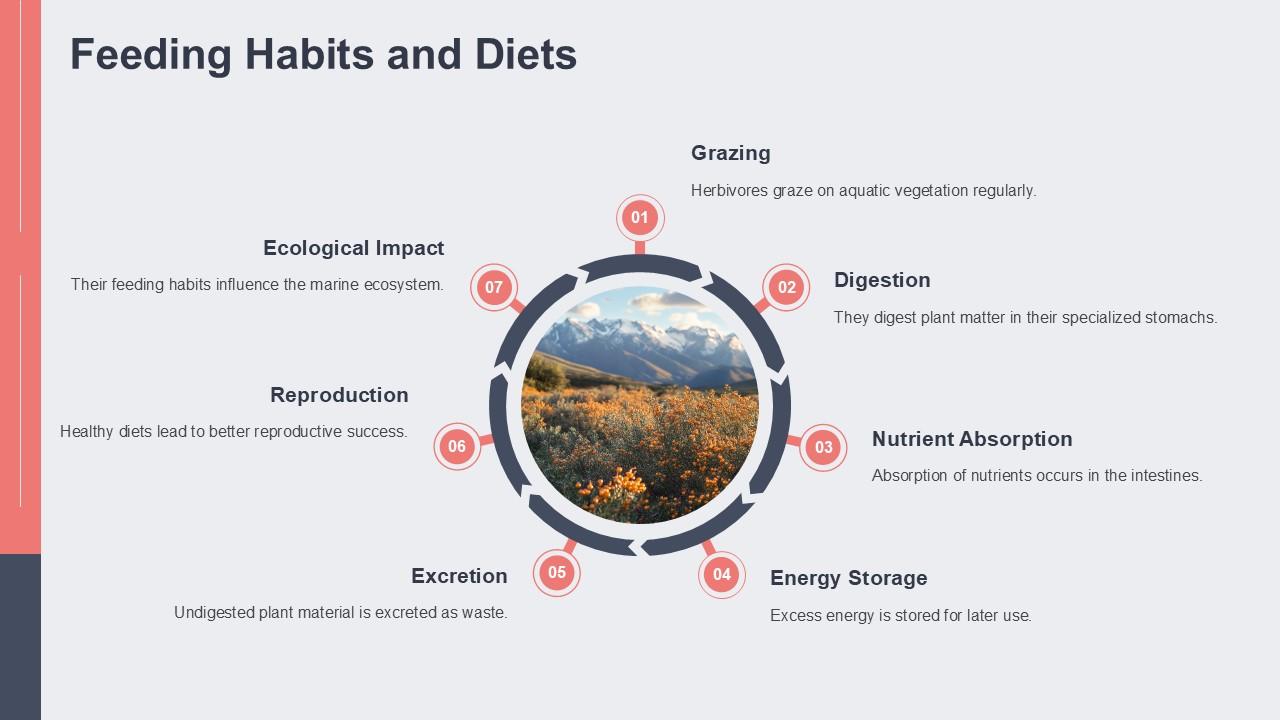Feeding Habits And Diets Sea Herbivores PPT Example ACP PPT Presentation