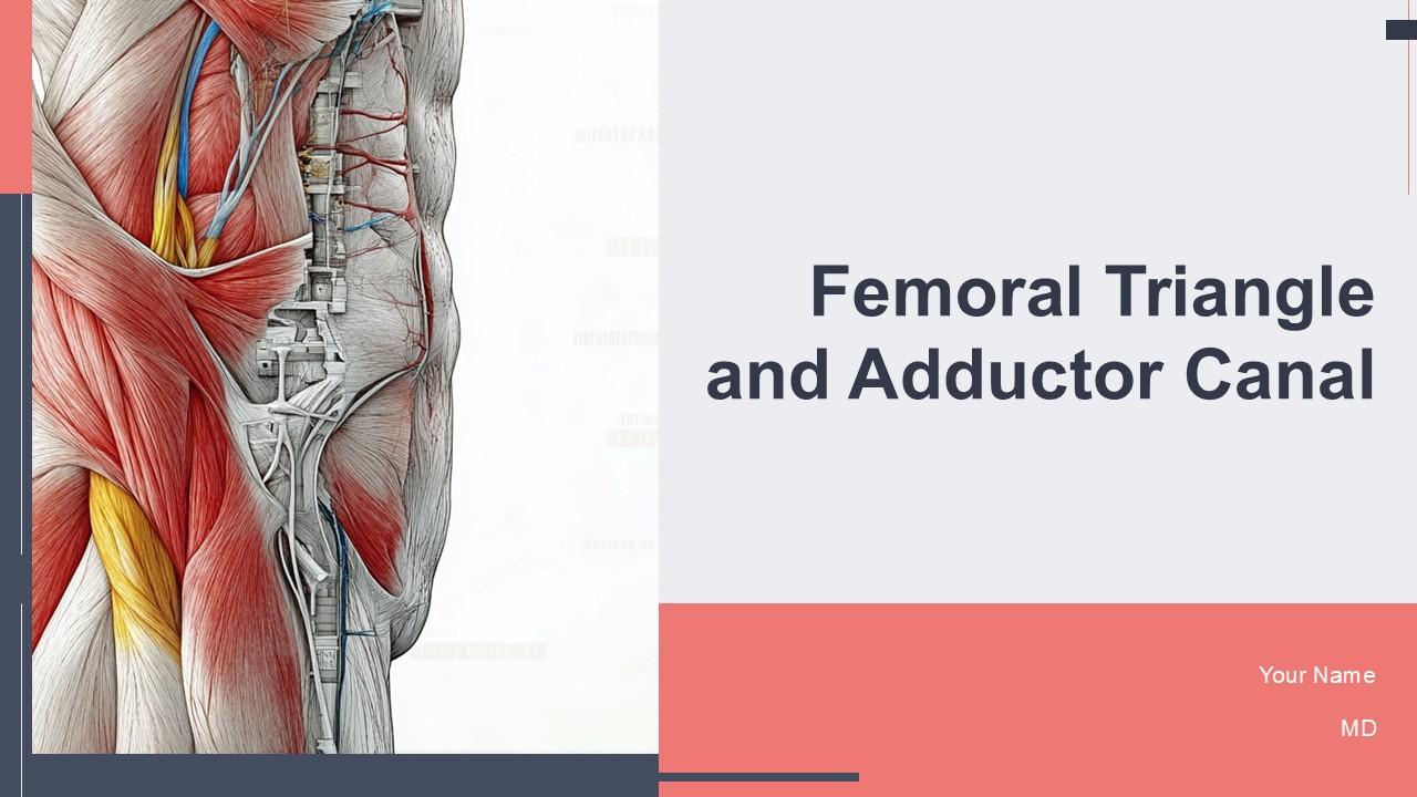 Adductor Canal Adductor Canal (subsartorial Canal