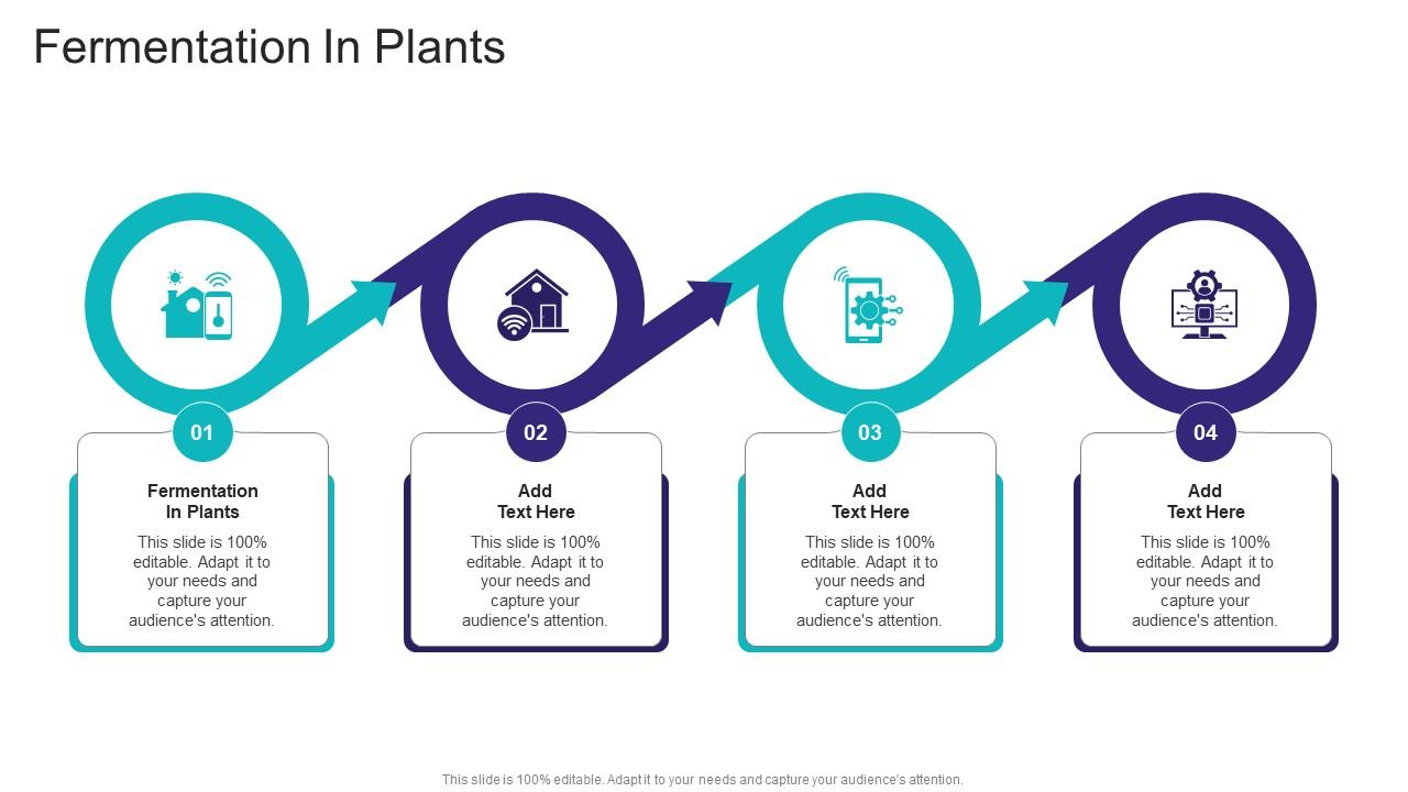 Fermentation In Plants In Powerpoint And Google Slides Cpp PPT Sample
