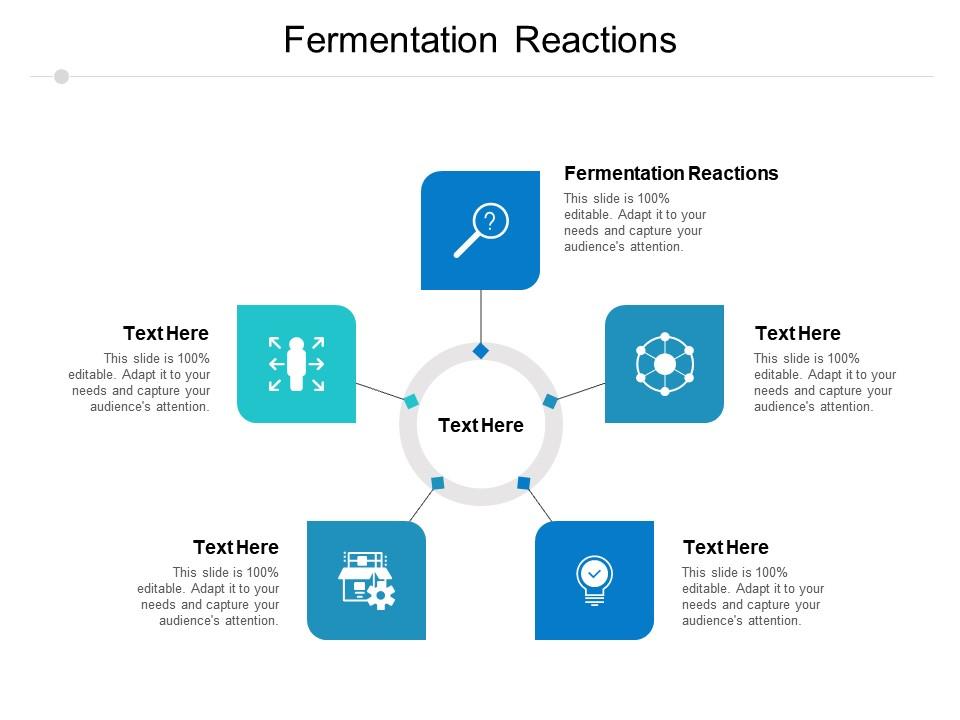 Fermentation Reactions Ppt Powerpoint Presentation Infographic Template Show Cpb Presentation