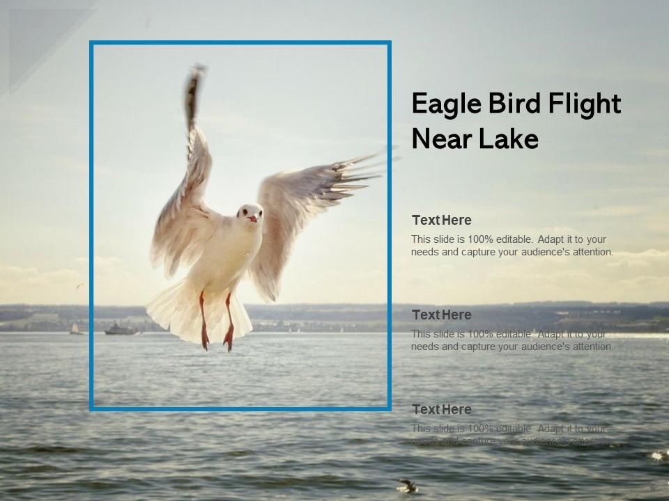 Top 10 aviation PowerPoint Presentation Templates in 2026