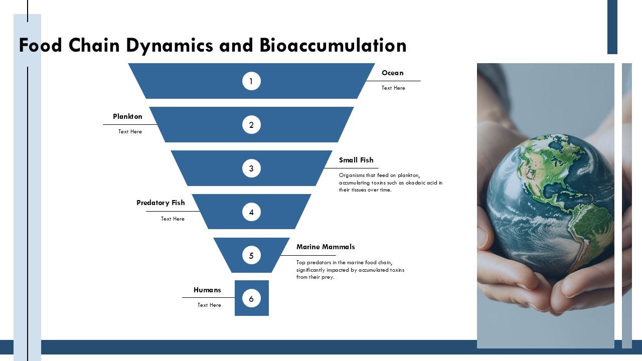 Food Chain Dynamics And Bioaccumulation Okadaic Acid PPT Presentation ...