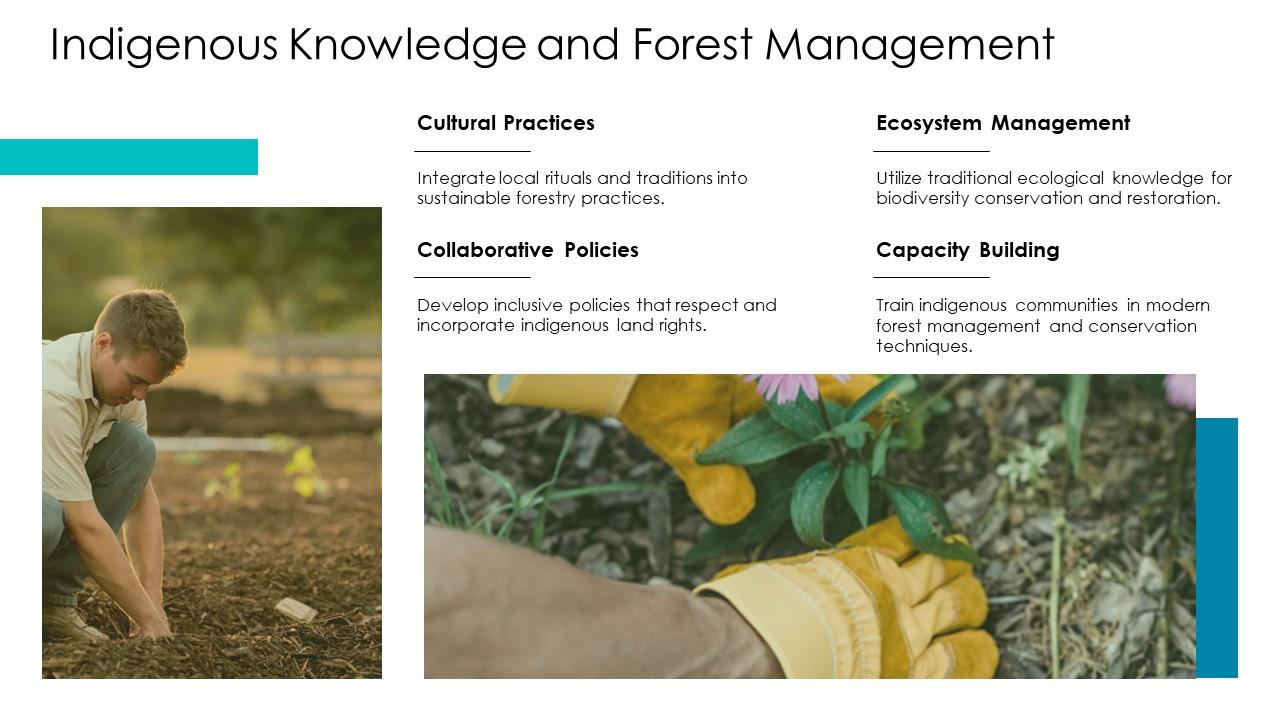 Top 10 Forests PowerPoint Presentation Templates in 2026