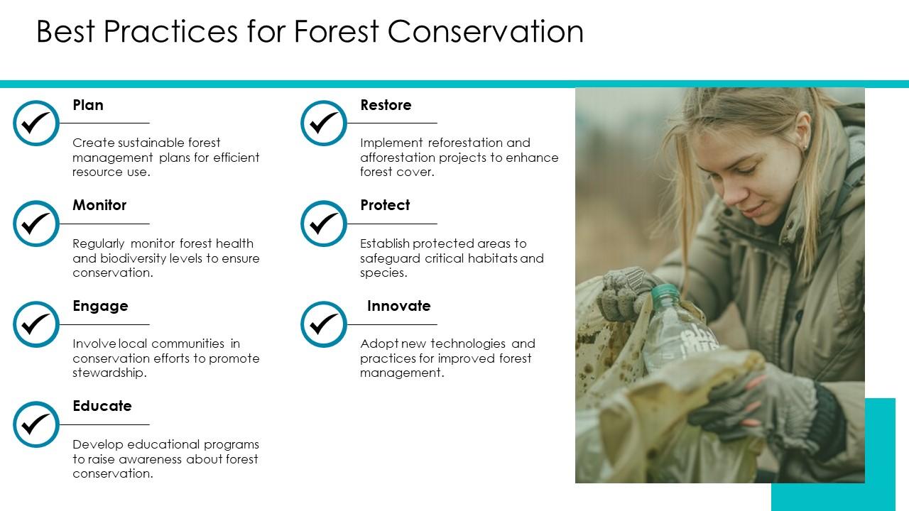 Top 10 Forests PowerPoint Presentation Templates in 2026