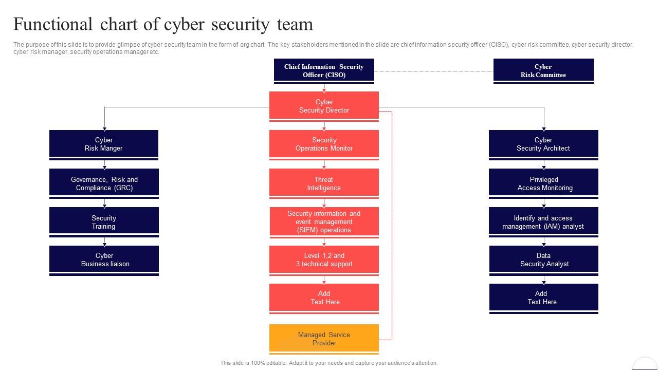 Functional Chart Of Cyber Security Team Preventing Data Breaches
