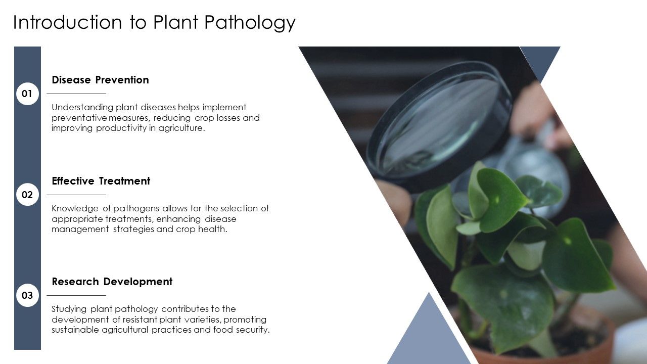 Fundamentals Of Plant Pathology And Disease Management PPT Summary AT