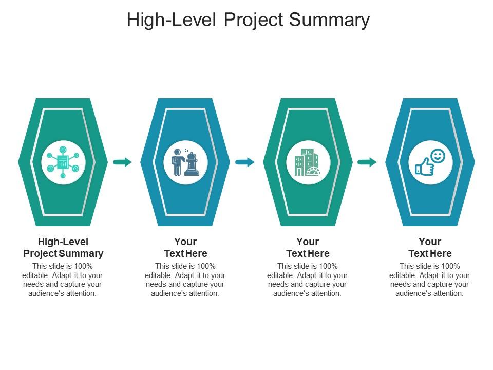High Level Project Summary Ppt Powerpoint Presentation Layouts Styles ...