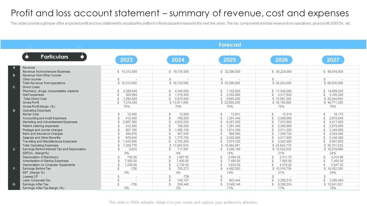 Home Healthcare Business Plan Profit And Loss Account Statement Summary ...