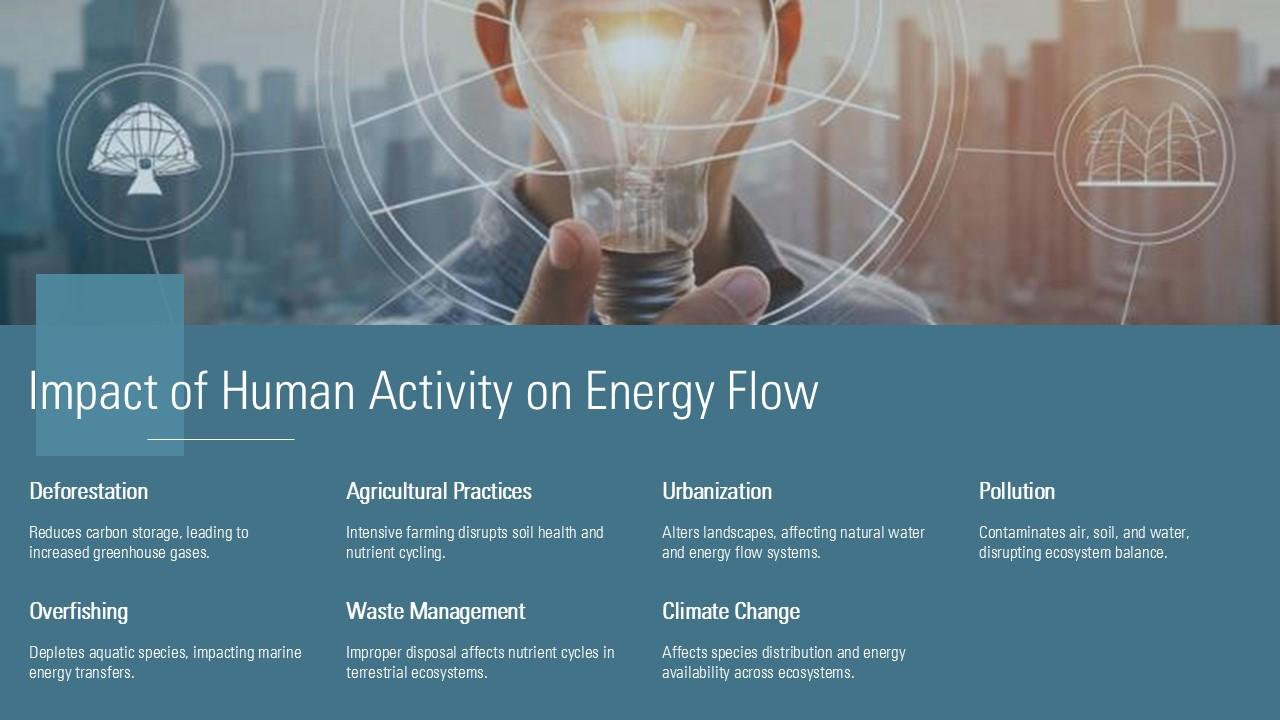 Impact Of Human Activity On Energy Flow PPT Structure ACP PPT Slide