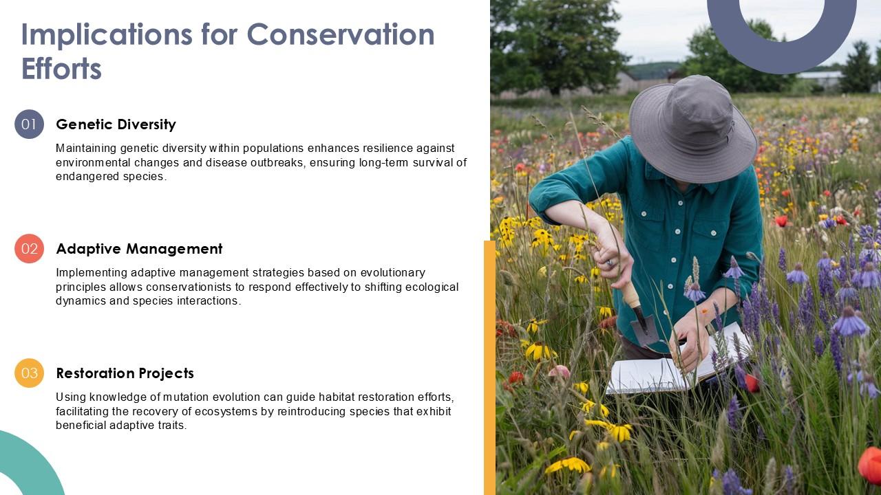 Implications For Conservation Efforts Mutation Evolution Ppt
