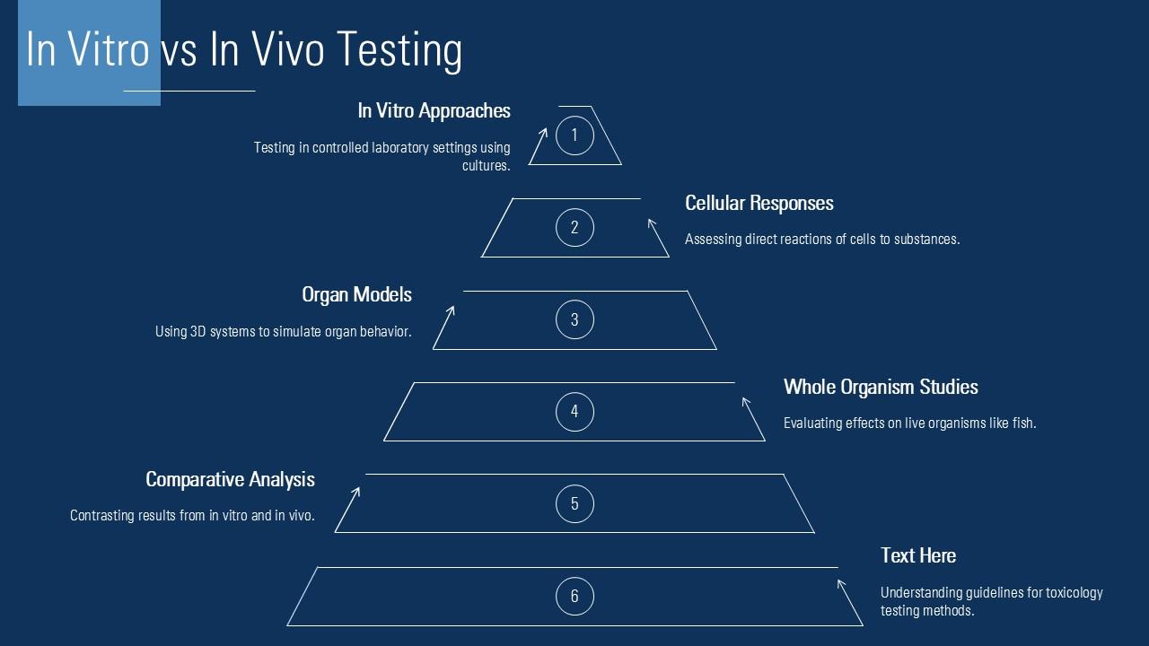 In Vitro Vs In Vivo Testing Toxicity Assay PPT Presentation ST AI SS ...