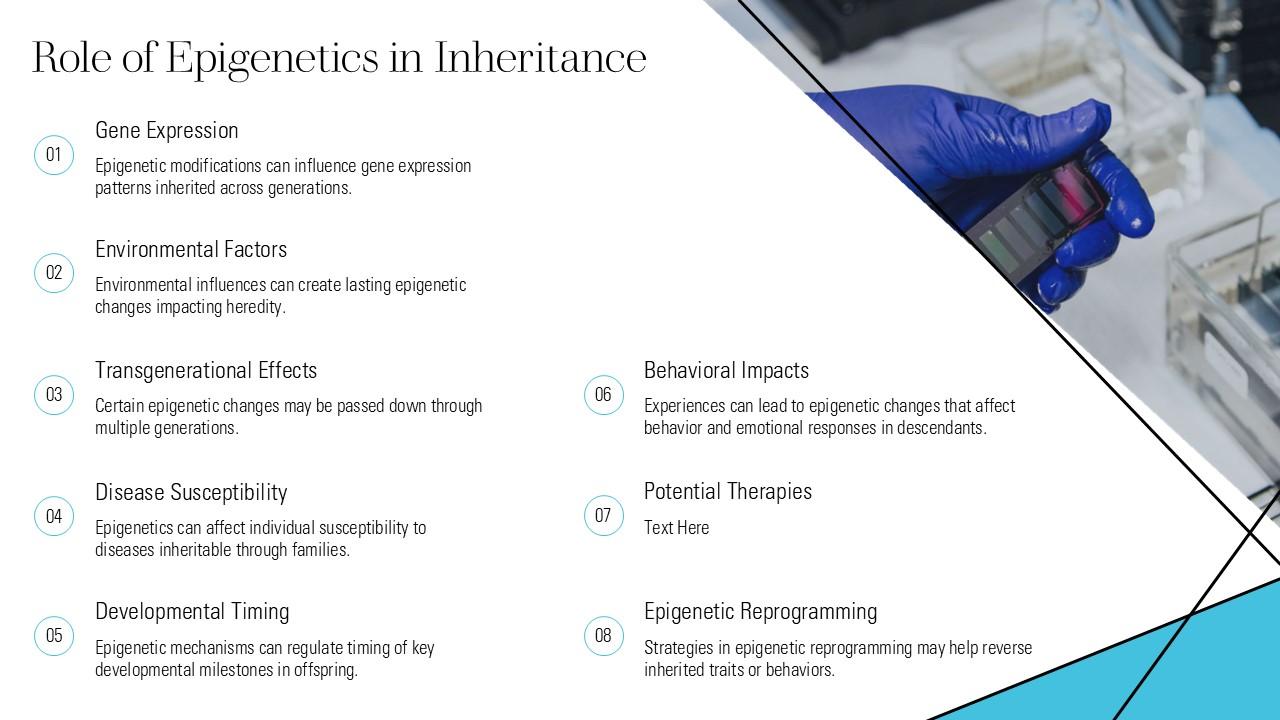 Top 10 Inheritance Powerpoint Presentation Templates In 2025