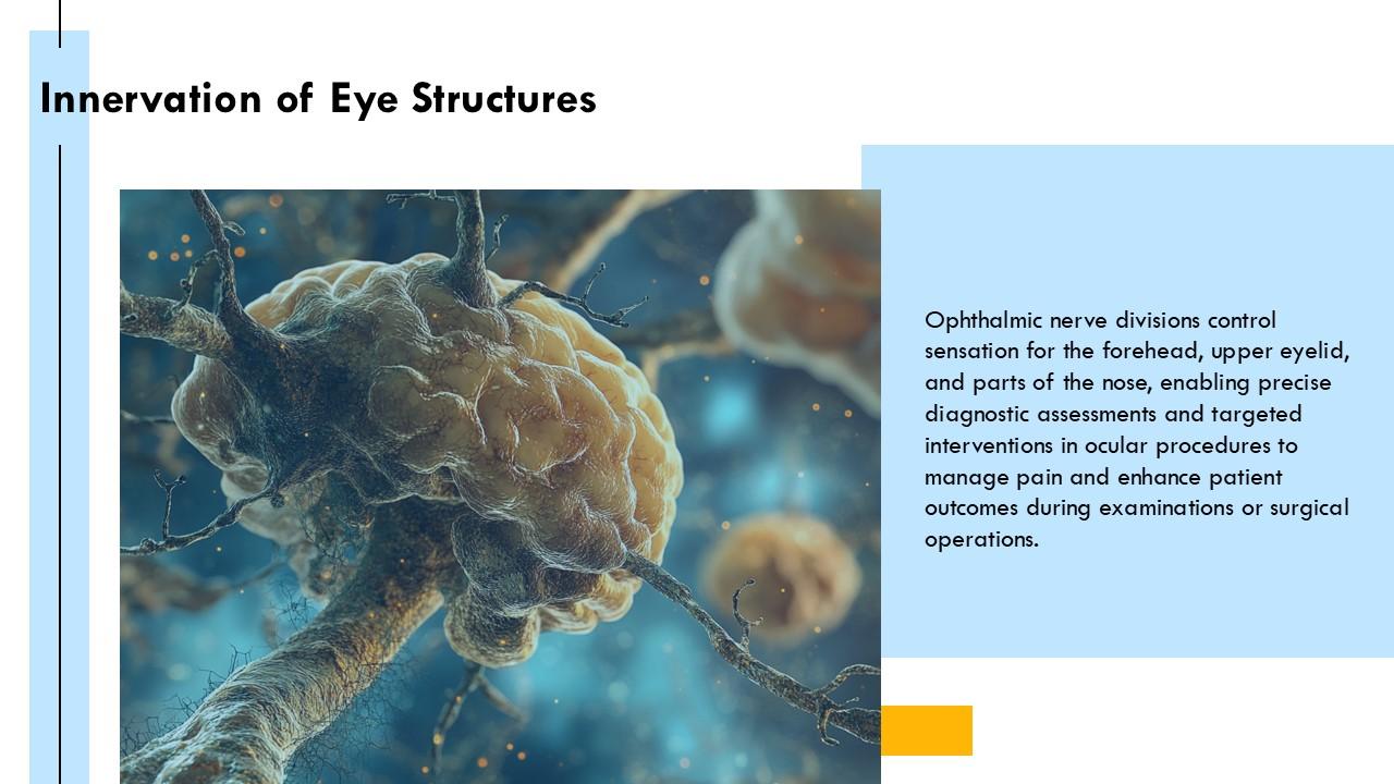 Innervation Of Eye Structures Ophthalmic Nerve PPT Demonstration ACP ...