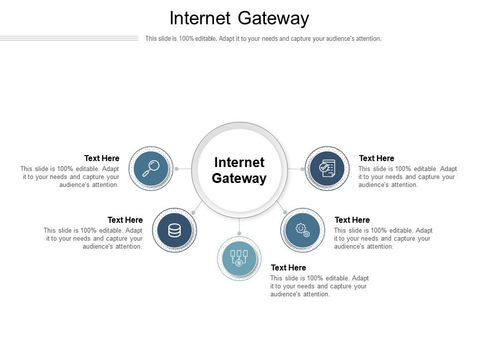 Internet Gateway Ppt Powerpoint Presentation Infographics Designs