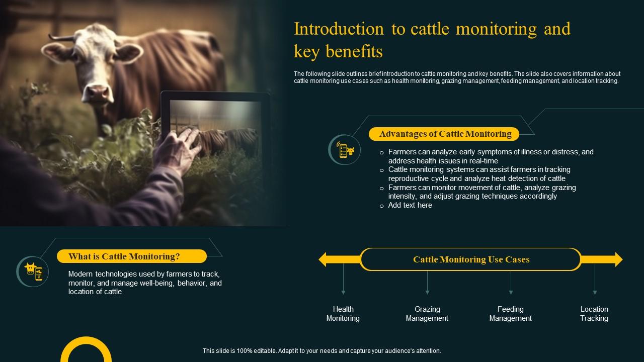 Introduction To Cattle Monitoring And Key Benefits Improving