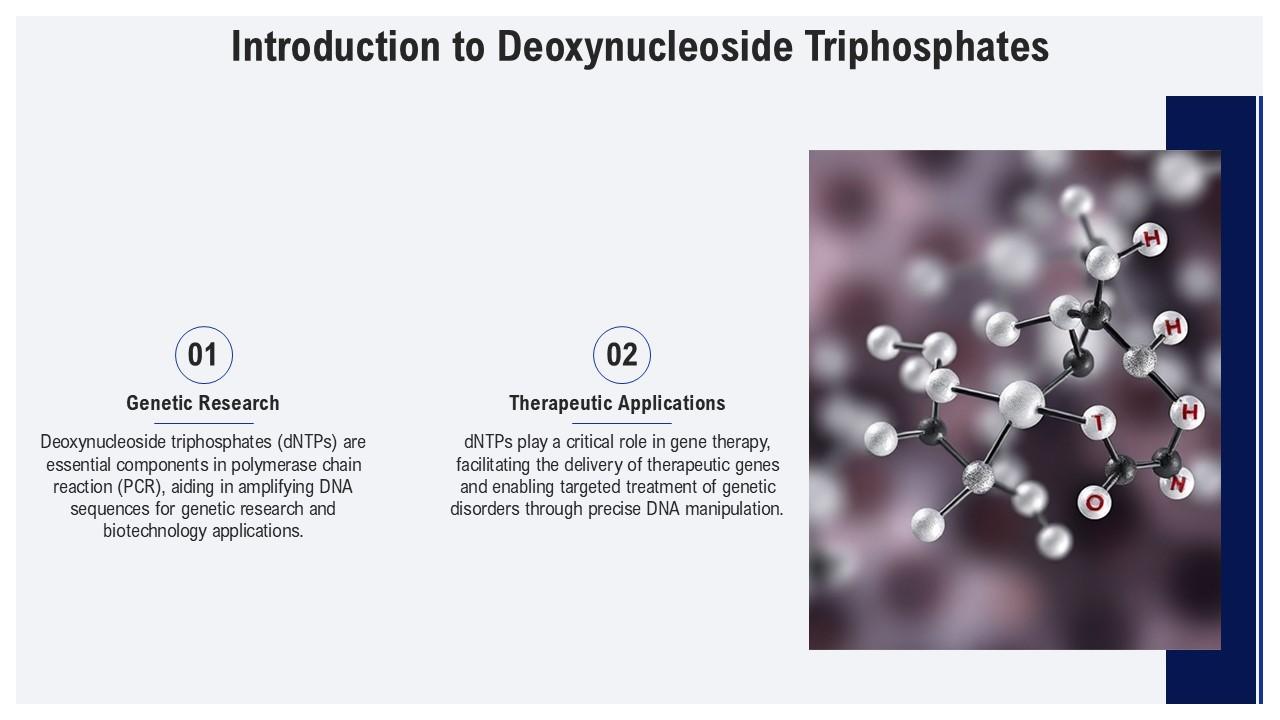 Introduction To Deoxynucleoside Triphosphates PPT Presentation ACP PPT ...