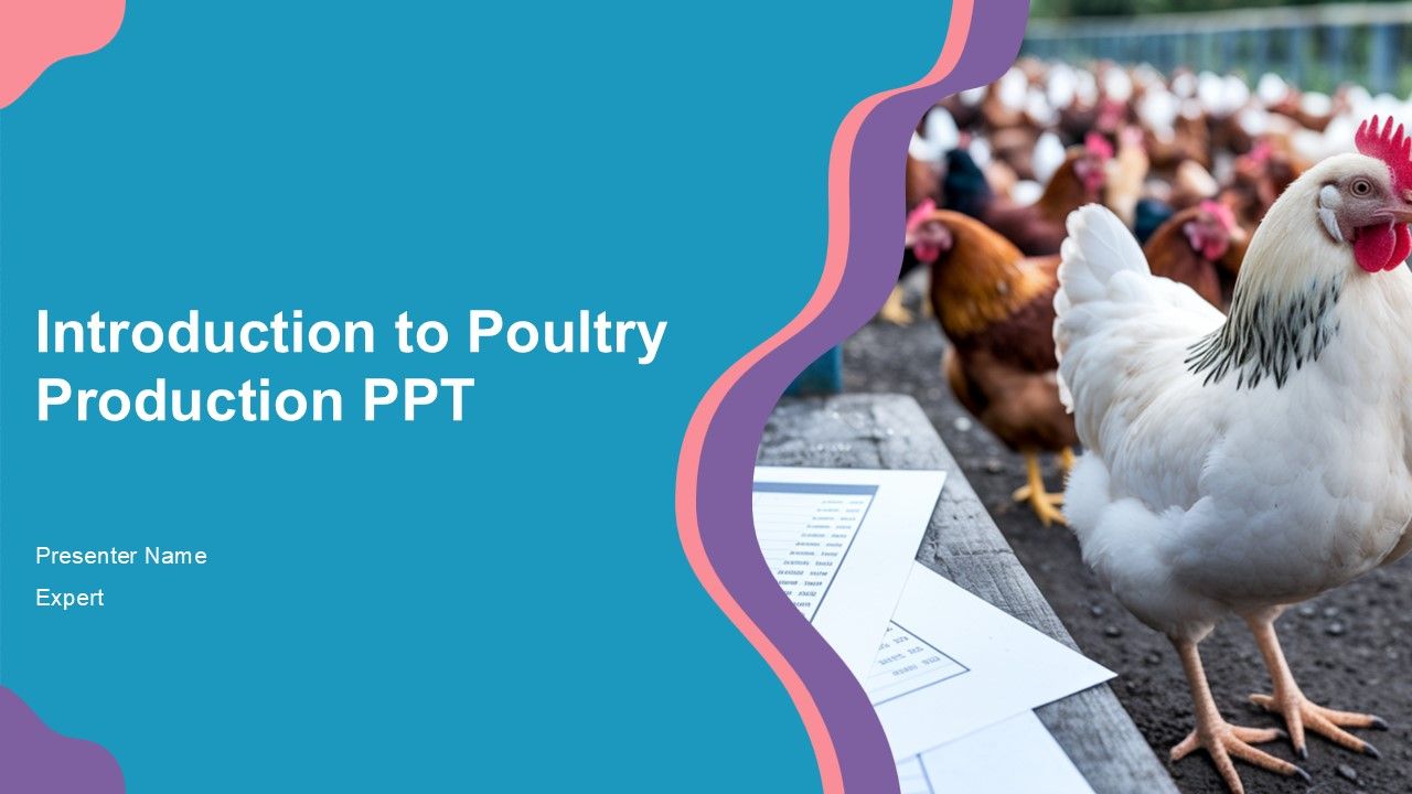Introduction To Poultry Production PPT Demonstration ACP