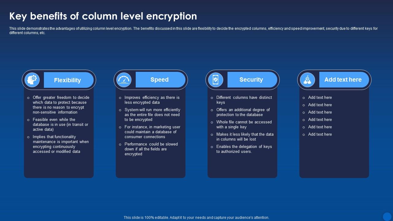 Key Benefits Of Column Level Encryption Encryption For Data Privacy In Digital Age It PPT Sample