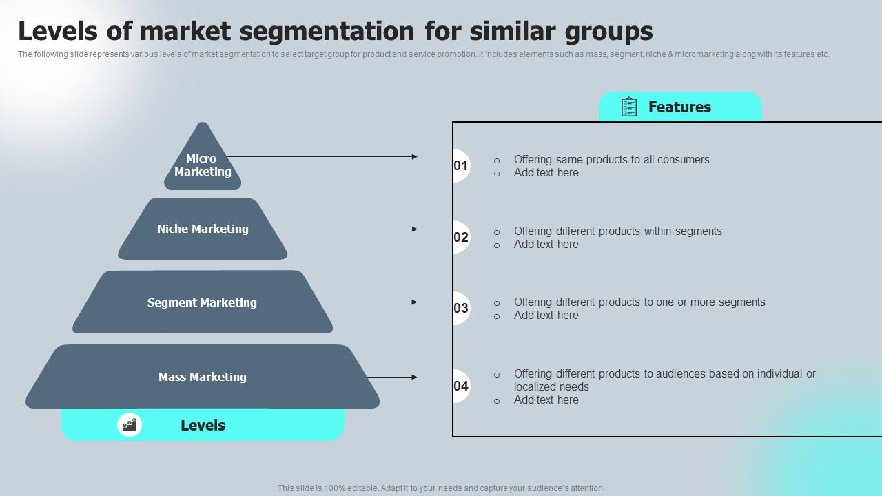 Levels Of Market Segmentation For Similar Groups Macro Vs Micromarketing Strategies Mkt Ss V Ppt
