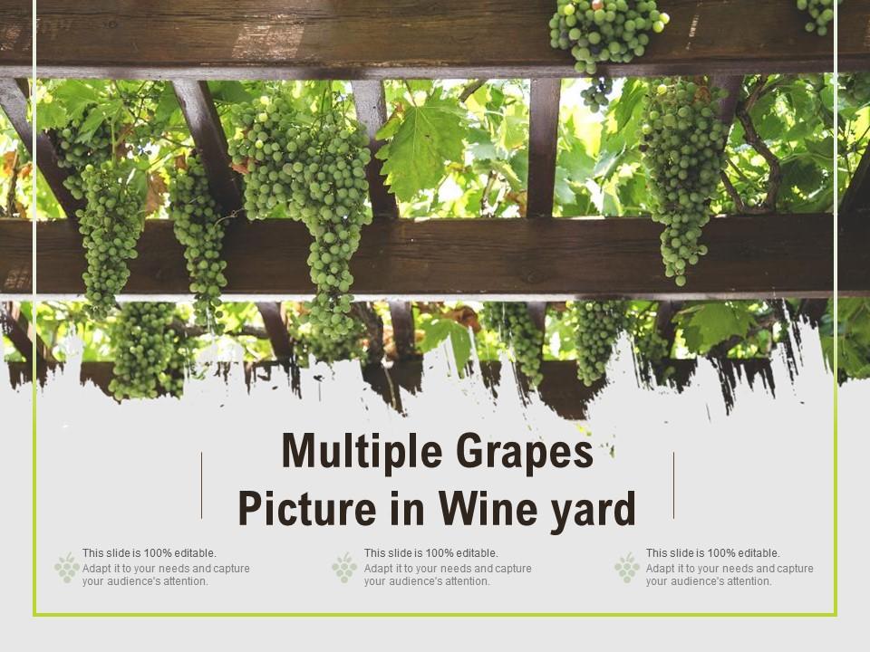 Top 10 Multiple Pictures PowerPoint Presentation Templates in 2026