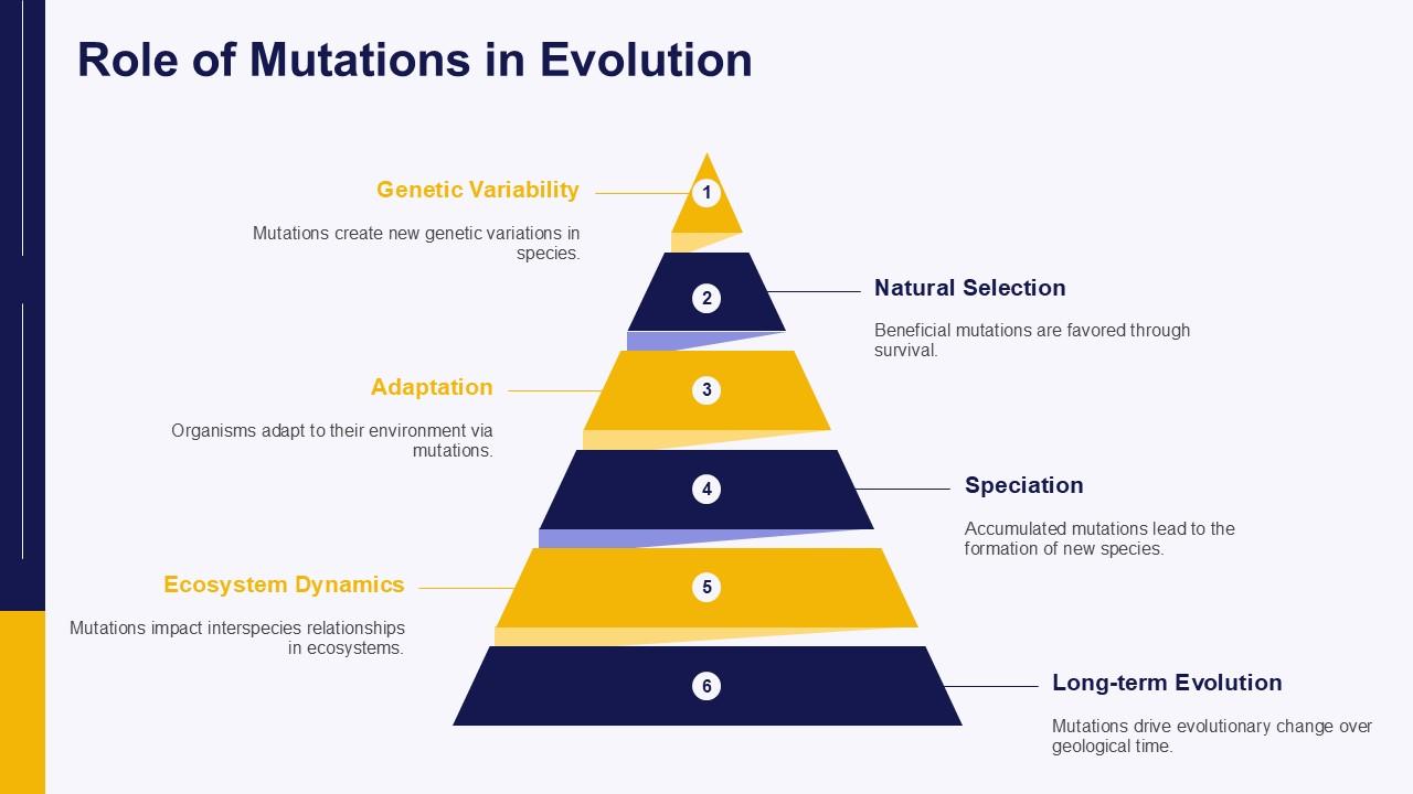 Mutation Microbiology Ppt Information Acp Ppt Example