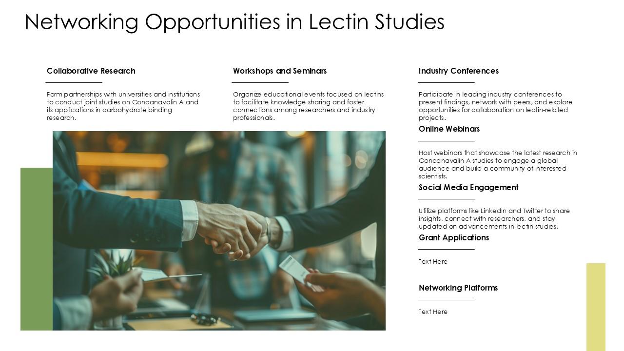 Networking Opportunities In Lectin Studies Concanavalin A PPT Example ...