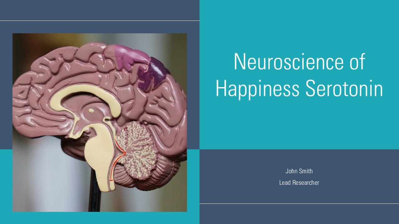 Neuroscience Of Happiness Serotonin PPT Template ACP PPT Example