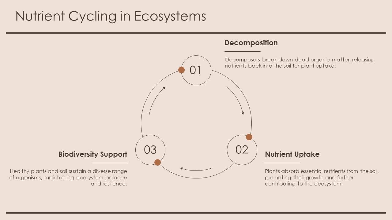 Nutrient Cycling In Ecosystems Decomposers Plants PPT Template ACP PPT ...