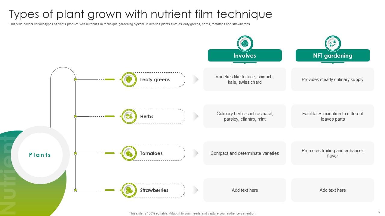 Nutrient Film Technique PowerPoint PPT Template Bundles PPT Slide