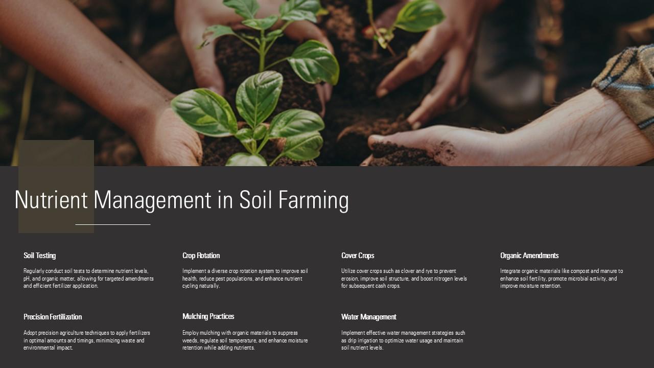 Nutrient Management In Soil Farming Geoponics PPT Template ST AI SS PPT ...