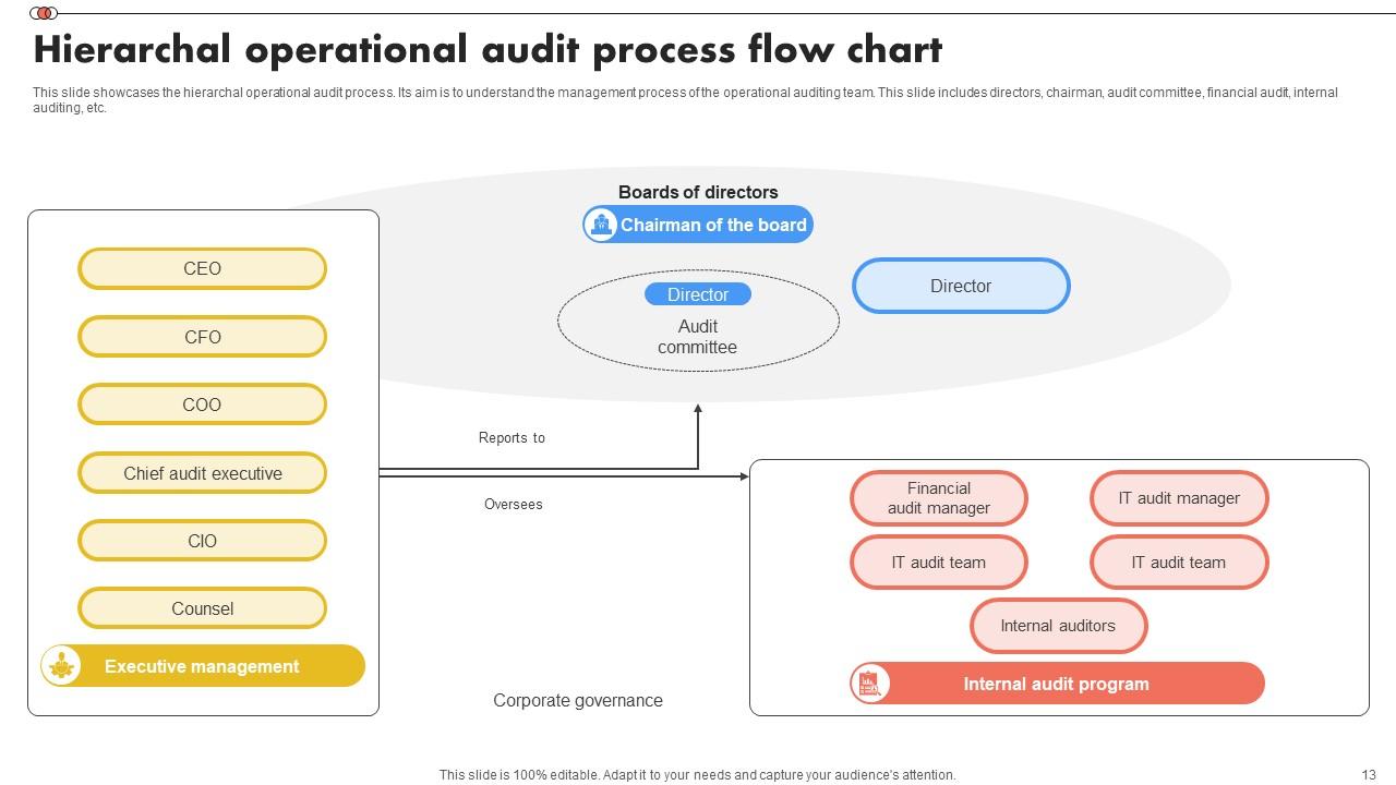 Operational Audit Powerpoint Ppt Template Bundles PPT Example