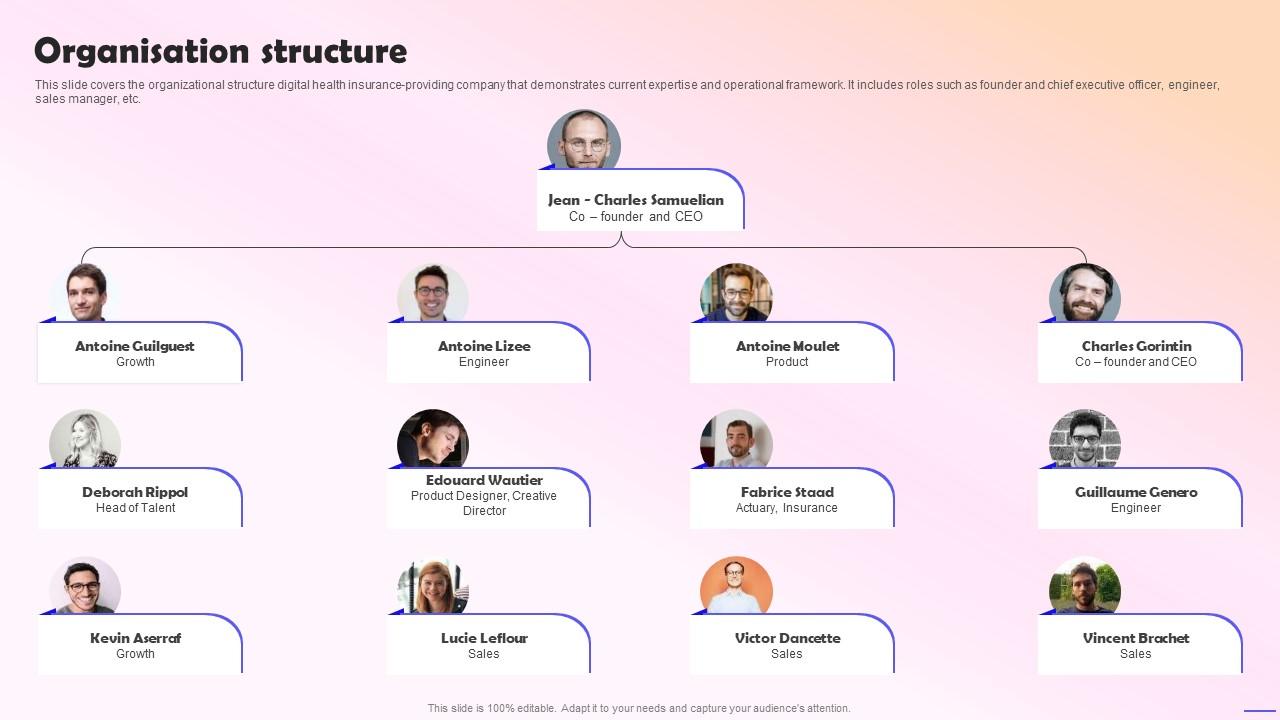 Organisation Structure Alan Investor Funding Elevator Pitch Deck PPT ...