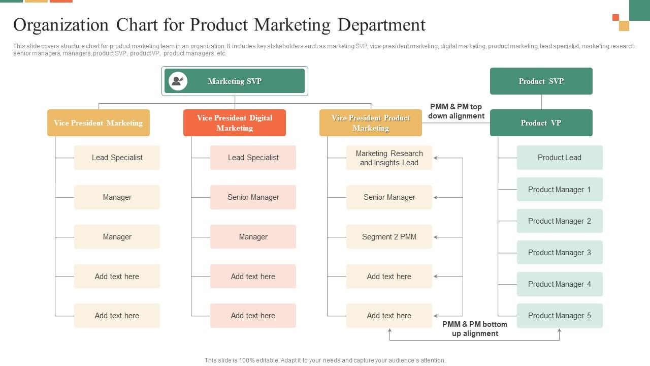 Organization Chart For Product Marketing Department PPT Template Organization Chart For Product Marketing Department PPT Template