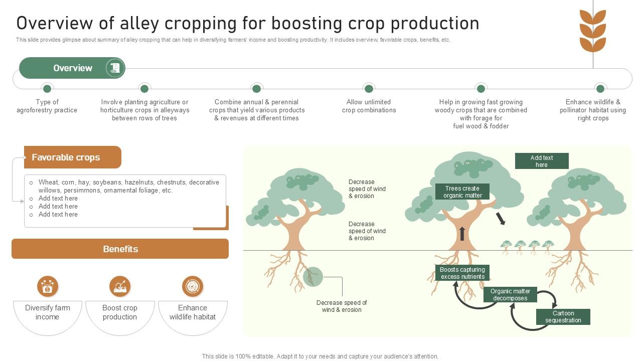 Overview Of Alley Cropping For Boosting Crop Production Implementing Sustainable Agriculture Ppt ...