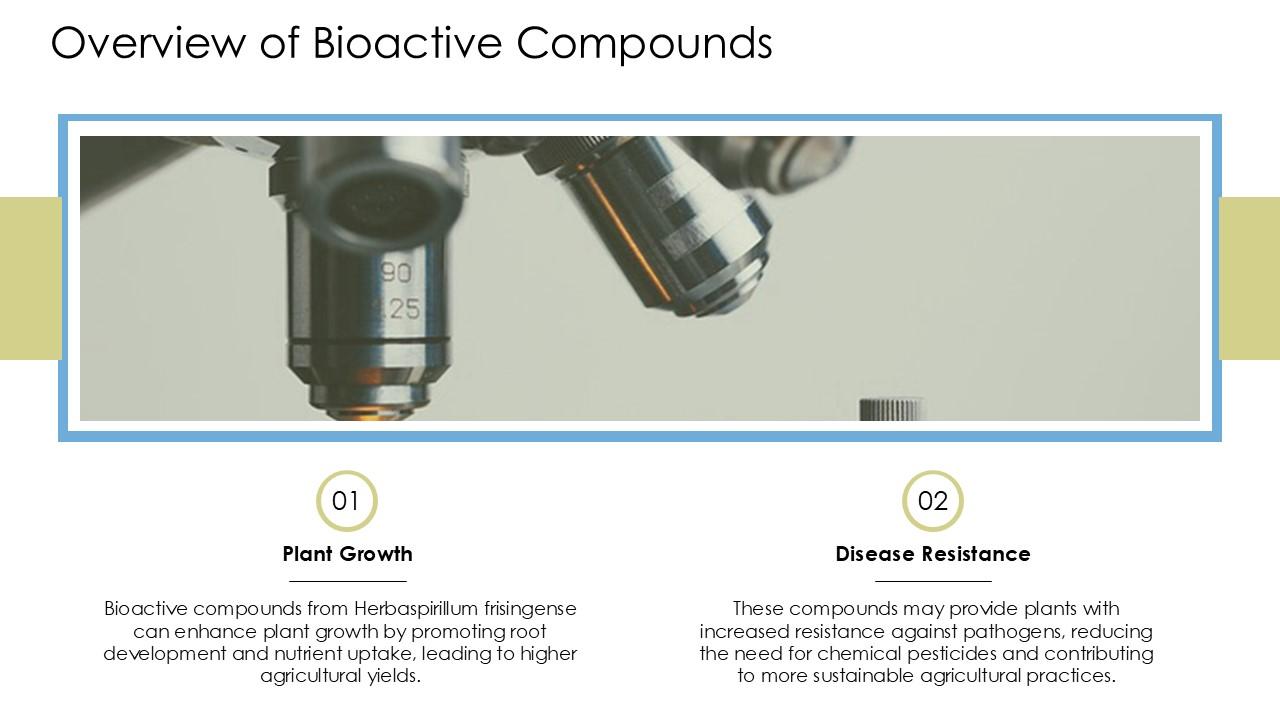 Overview Of Bioactive Compounds PPT Demonstration ACP PPT Template