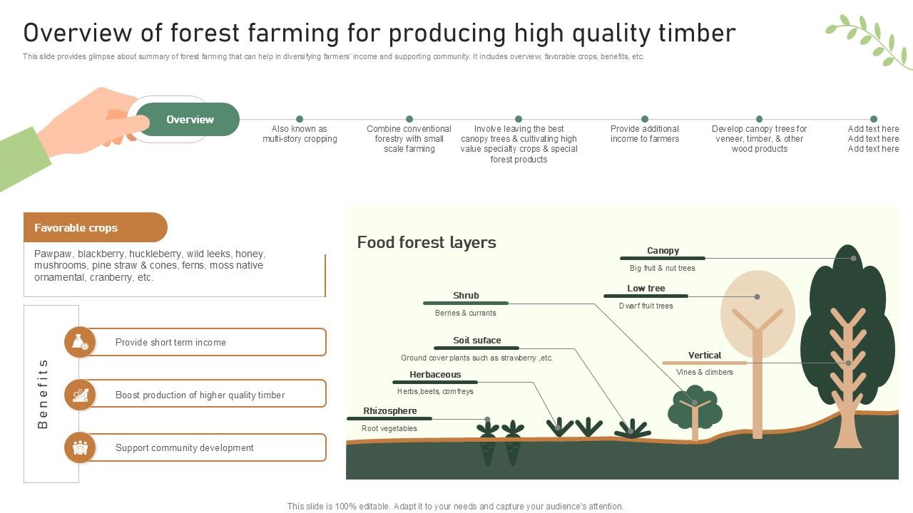 Overview Of Forest Farming For Producing High Quality Implementing ...