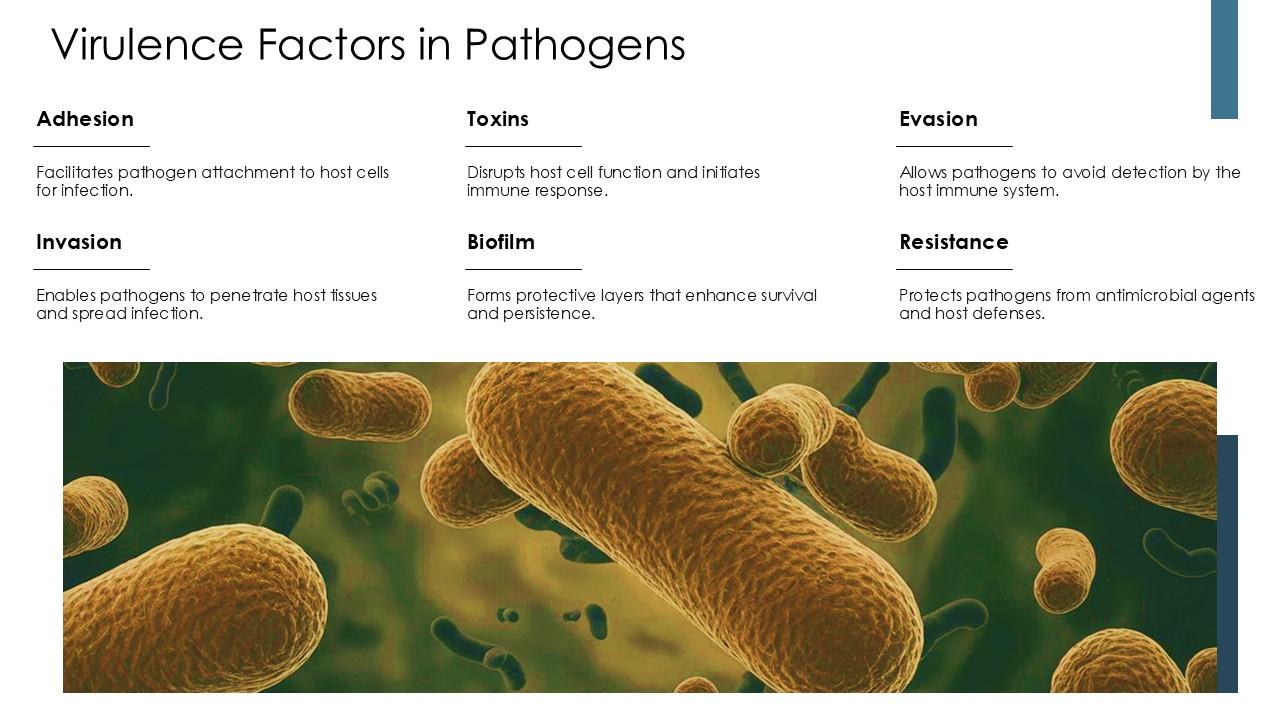 Pathogenesis Microbiology Ppt Powerpoint Acp Ppt Presentation