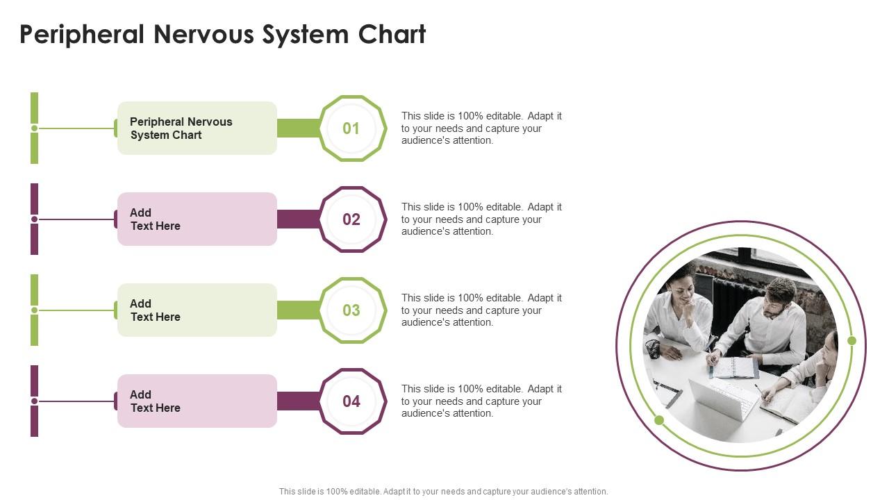 Peripheral Nervous System Chart In Powerpoint And Google Slides Cpb PPT Presentation