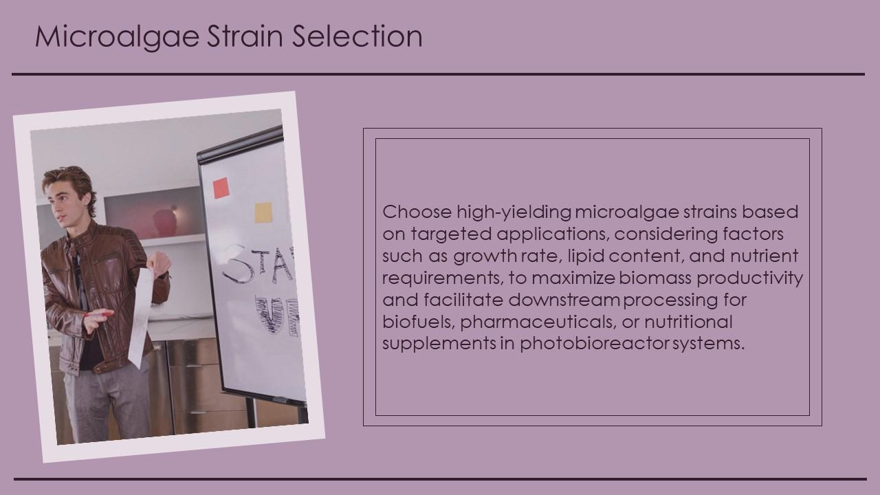 Photobioreactor Innovative Technology For Sustainable Algae Cultivation ...